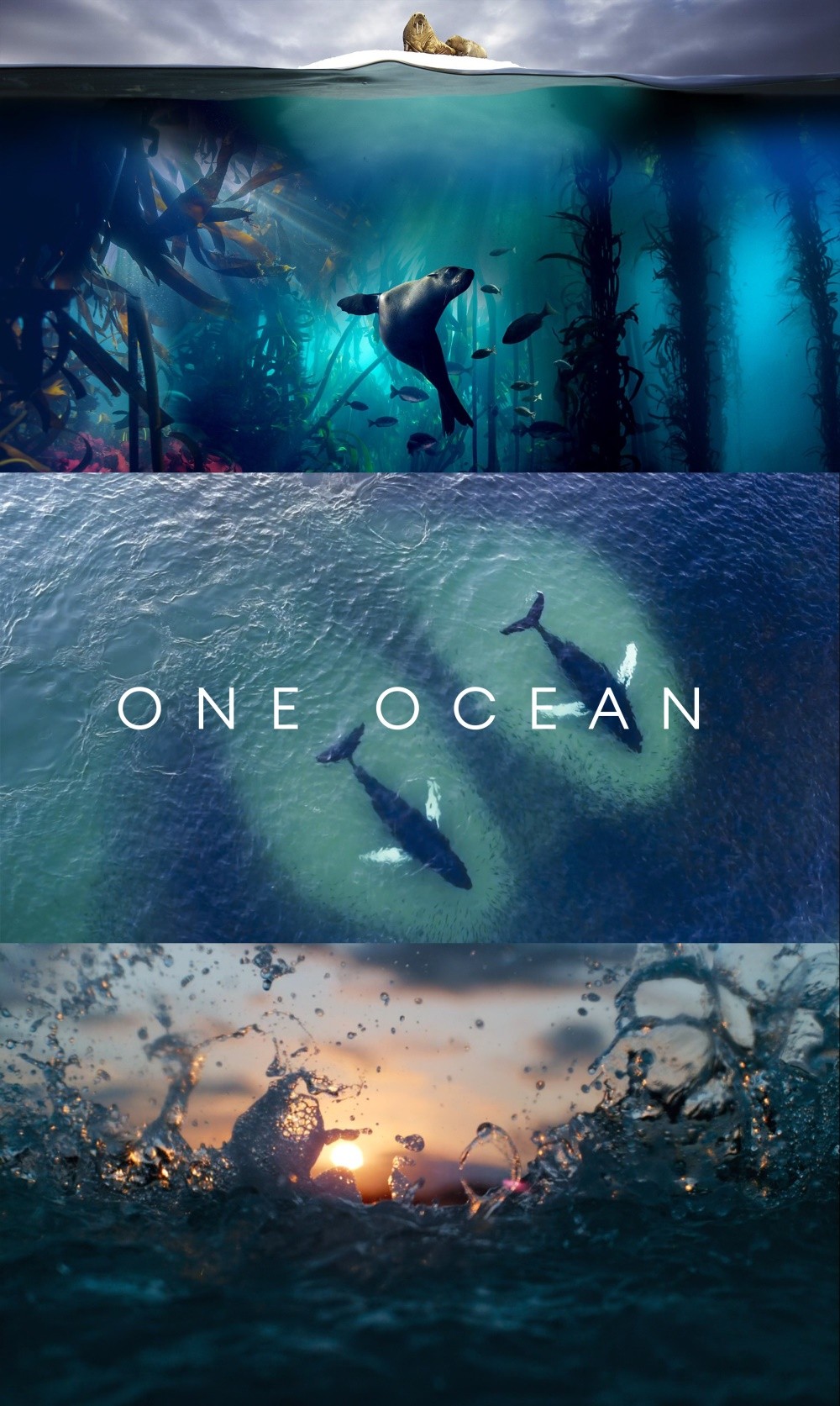 元禾大千 银川阅茗轩·自然之光艺术馆-室内设计-拓者设计吧